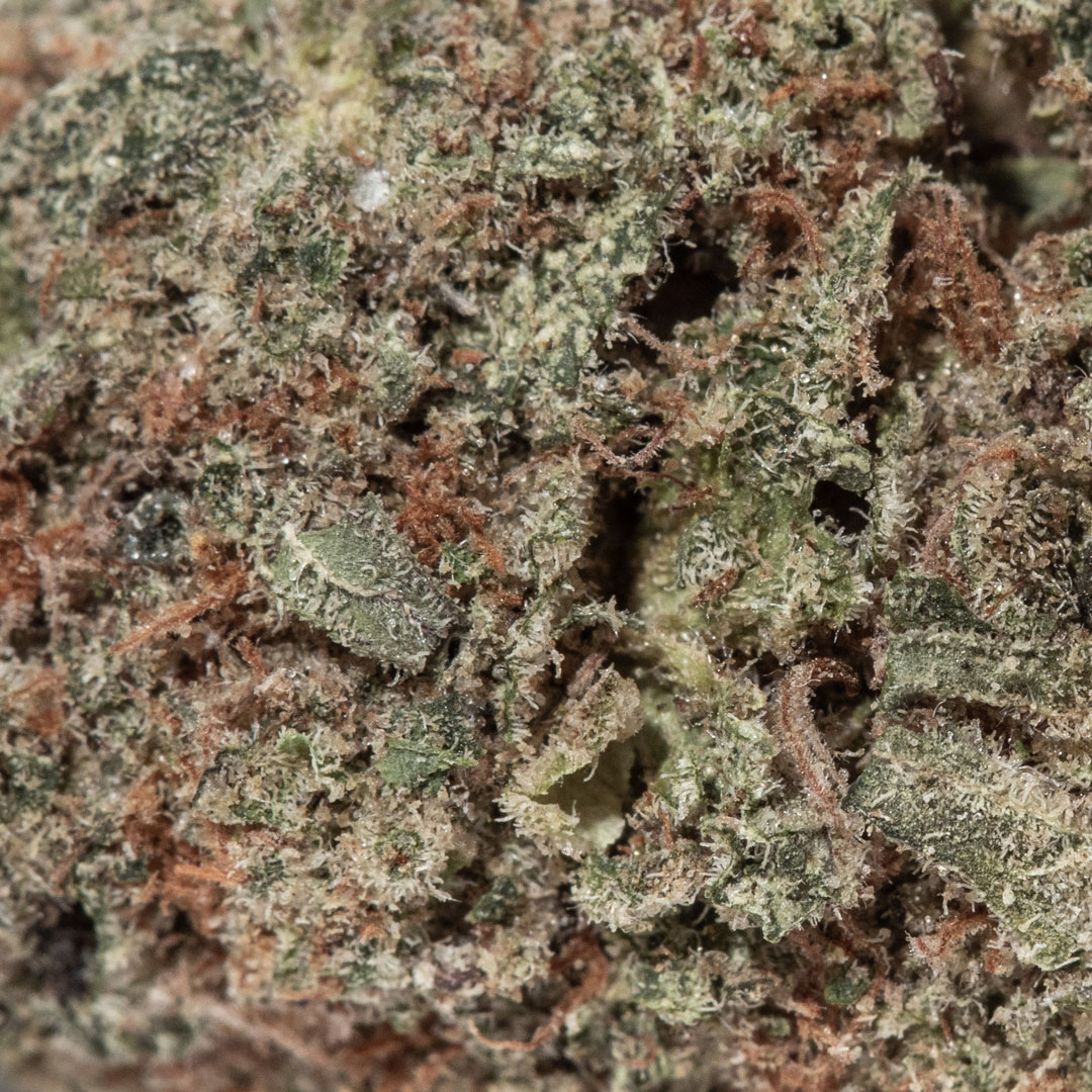 Buy Cannabis | Daily Edibles Weed Delivery Vancouver | Marijuana