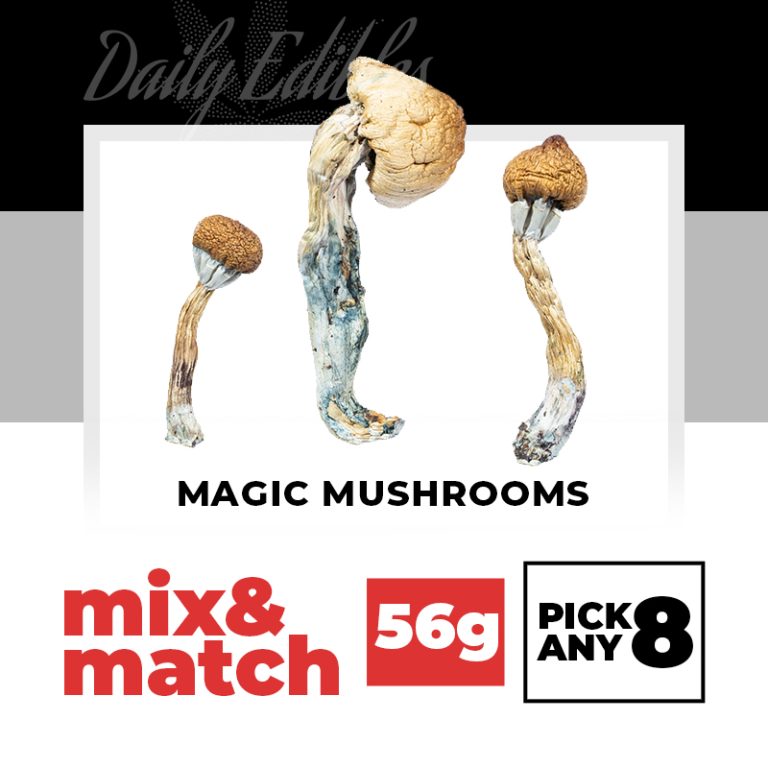 Buy Magic Mushrooms | Daily Edibles Weed Delivery Vancouver | Shrooms